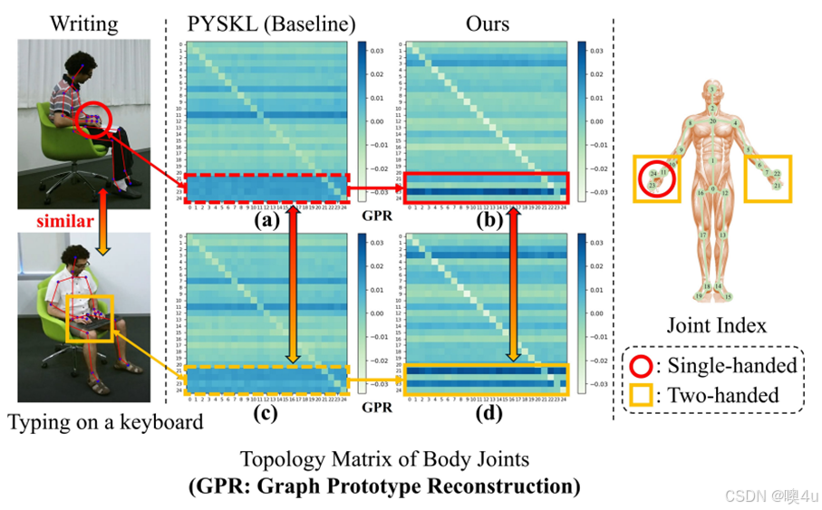 《人工智能联合大作业》课程报告--论文精读--ProtoGCN：面向细粒度骨架动作识别的结构建模与其优化探索_protogcn模型-CSDN博客