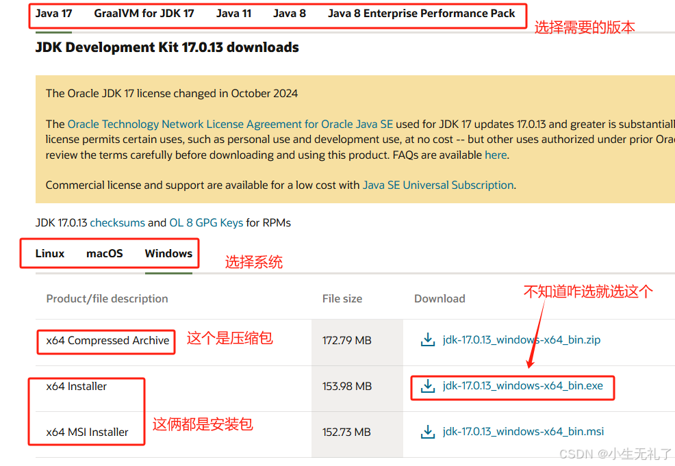 JAVA17安装教程，环境配置_java17下载安装-CSDN博客