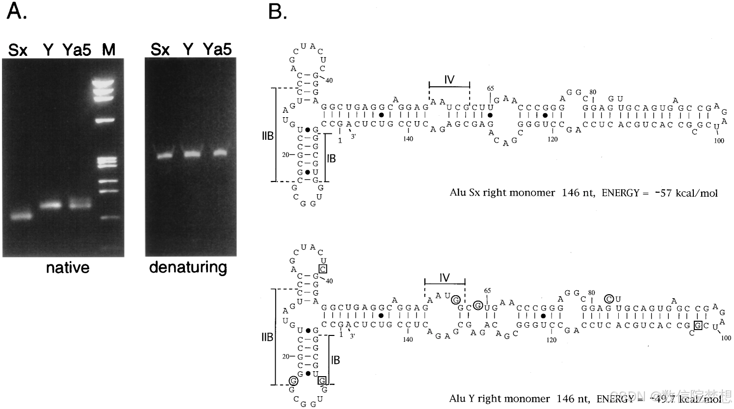 几分钟看完什么是Alu插入元件_alu元件-CSDN博客