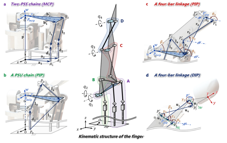 ILDA手指运动学建模总览及仿真_ilda hand 开源资料-CSDN博客