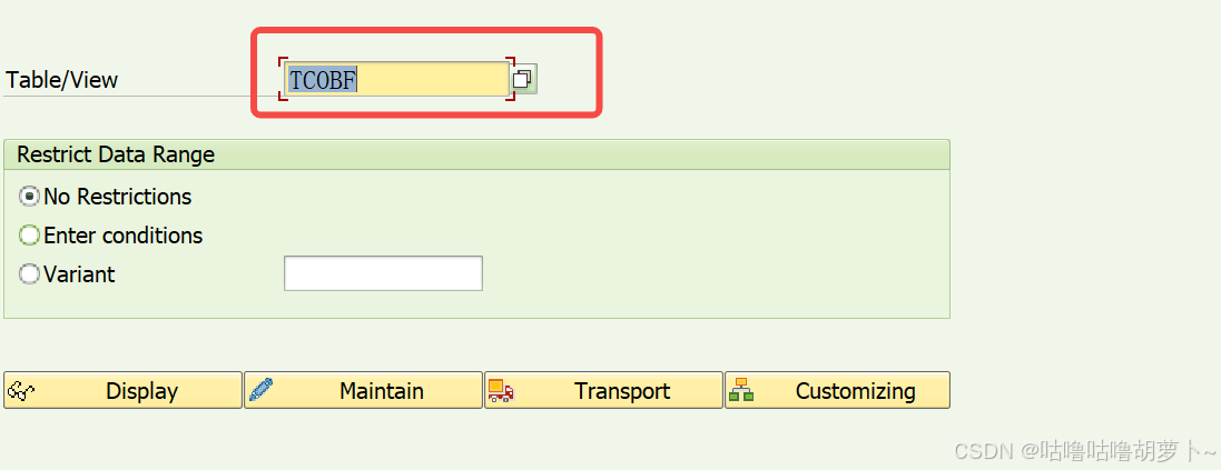 sap Fico Coding Block新增自定义字段_sap coding block-CSDN博客