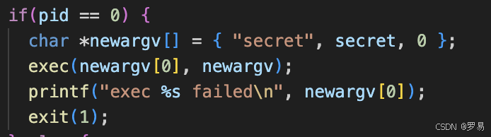 xv6-lab-2024 lab2 Attack最详细解答_attack xv6-CSDN博客