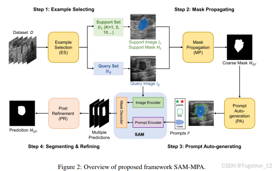 SAM-MPA：通过掩码传播和自动提示将SAM应用于少样本医学图像分割-CSDN博客