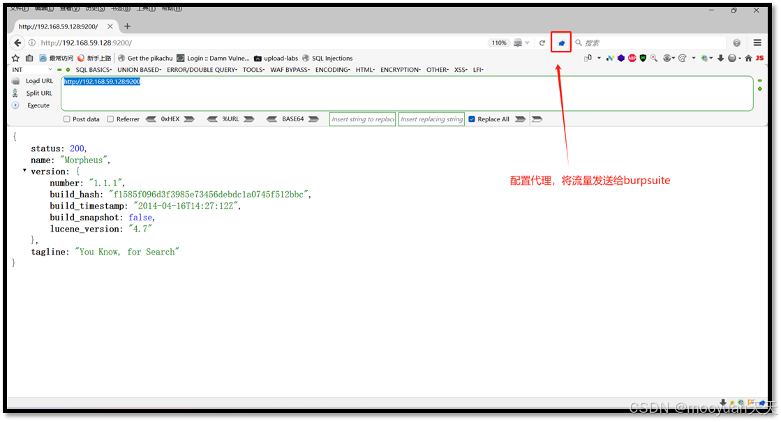 ElasticSearch远程代码执行漏洞复现：原理详解+环境搭建+渗透实践(CVE-2014-3120)-CSDN博客