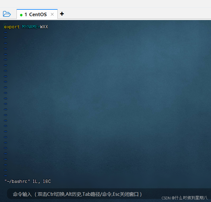 Linux 学习笔记（十一）——环境变量_linux env-CSDN博客