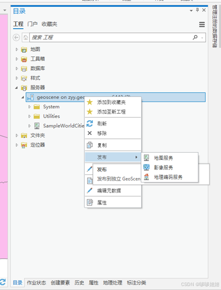 GeoScene Pro 二维服务发布方法_geoscene pro 发布服务-CSDN博客