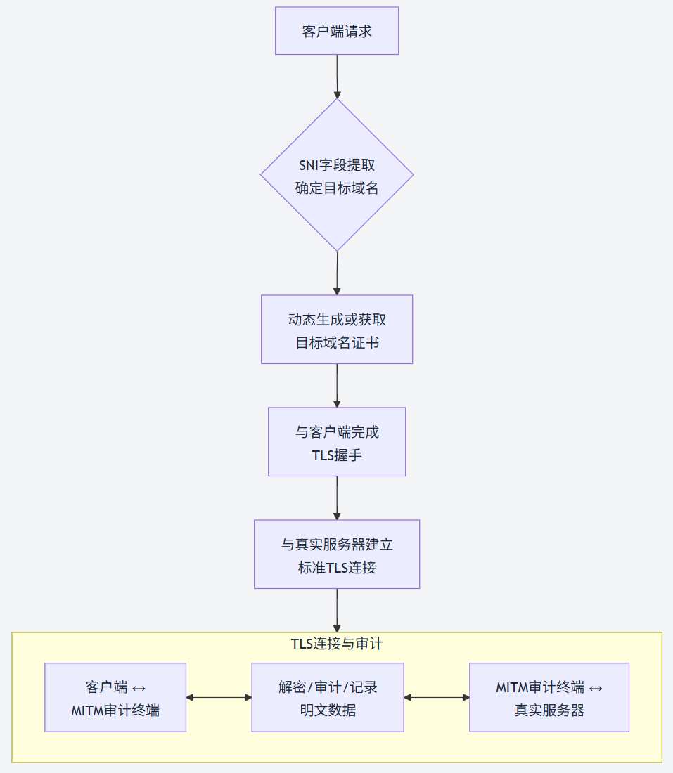 什么是 TLS MITM 审计技术？-CSDN博客