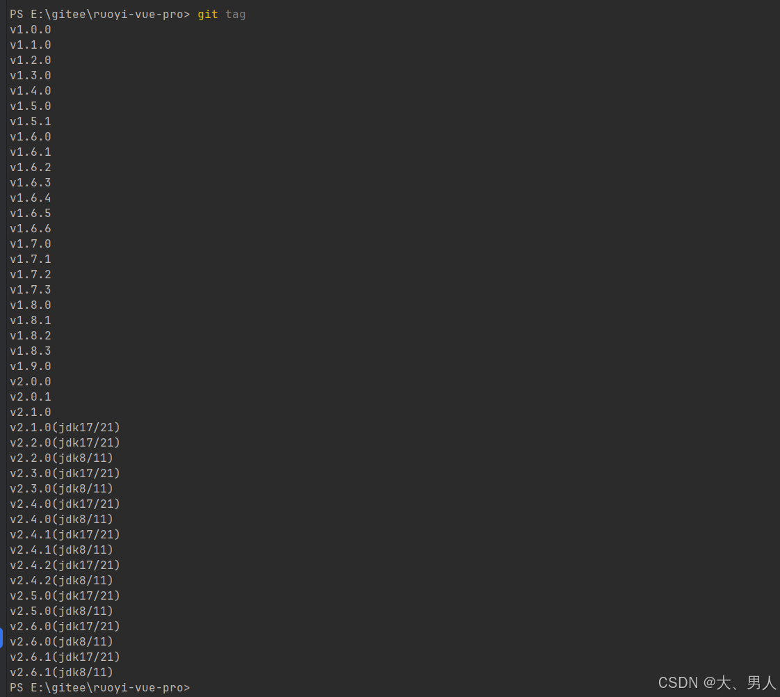 ruoyi-vue-pro源码部署-CSDN博客