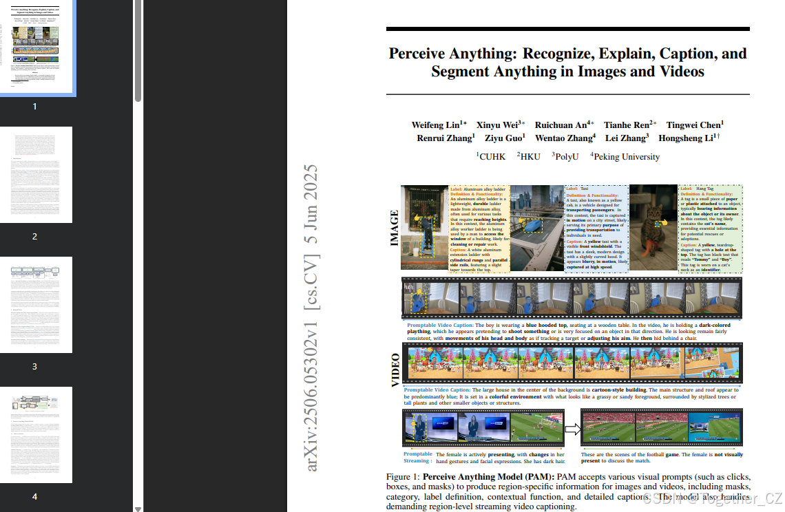PAM：Perceive Anything: Recognize, Explain, Caption, and Segment Anything in Images and Videos感知 ...