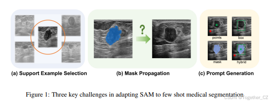 SAM-MPA：通过掩码传播和自动提示将SAM应用于少样本医学图像分割-CSDN博客