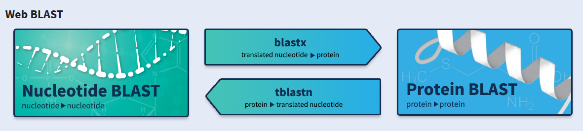 NCBI blast的安装和使用_blast安装-CSDN博客