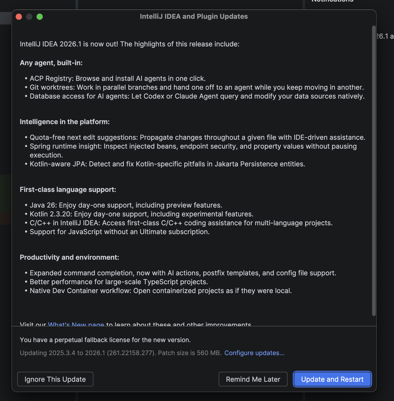 升级 IntelliJ IDEA 编辑器到2026.1-CSDN博客