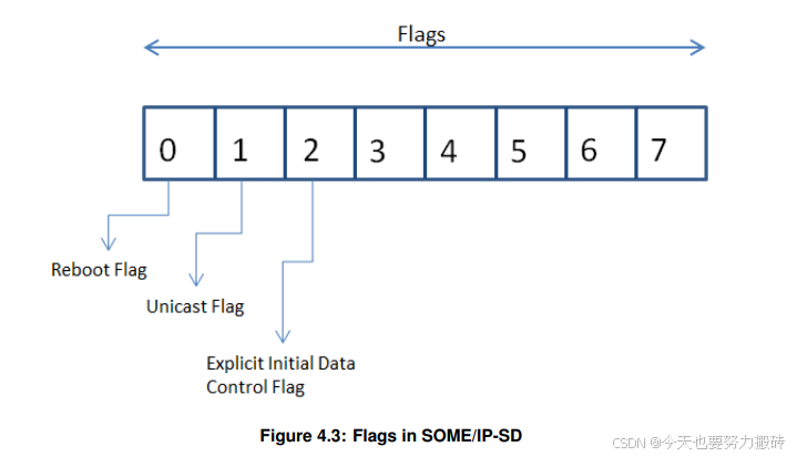 通信易懂唠唠SOME/IP——SOME/IP-SD报文格式_someip sd-CSDN博客