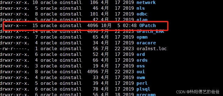 【ORACL 19C 时区版本升级DSTV32-DSTV43（ORA-39405）】_43补丁-CSDN博客
