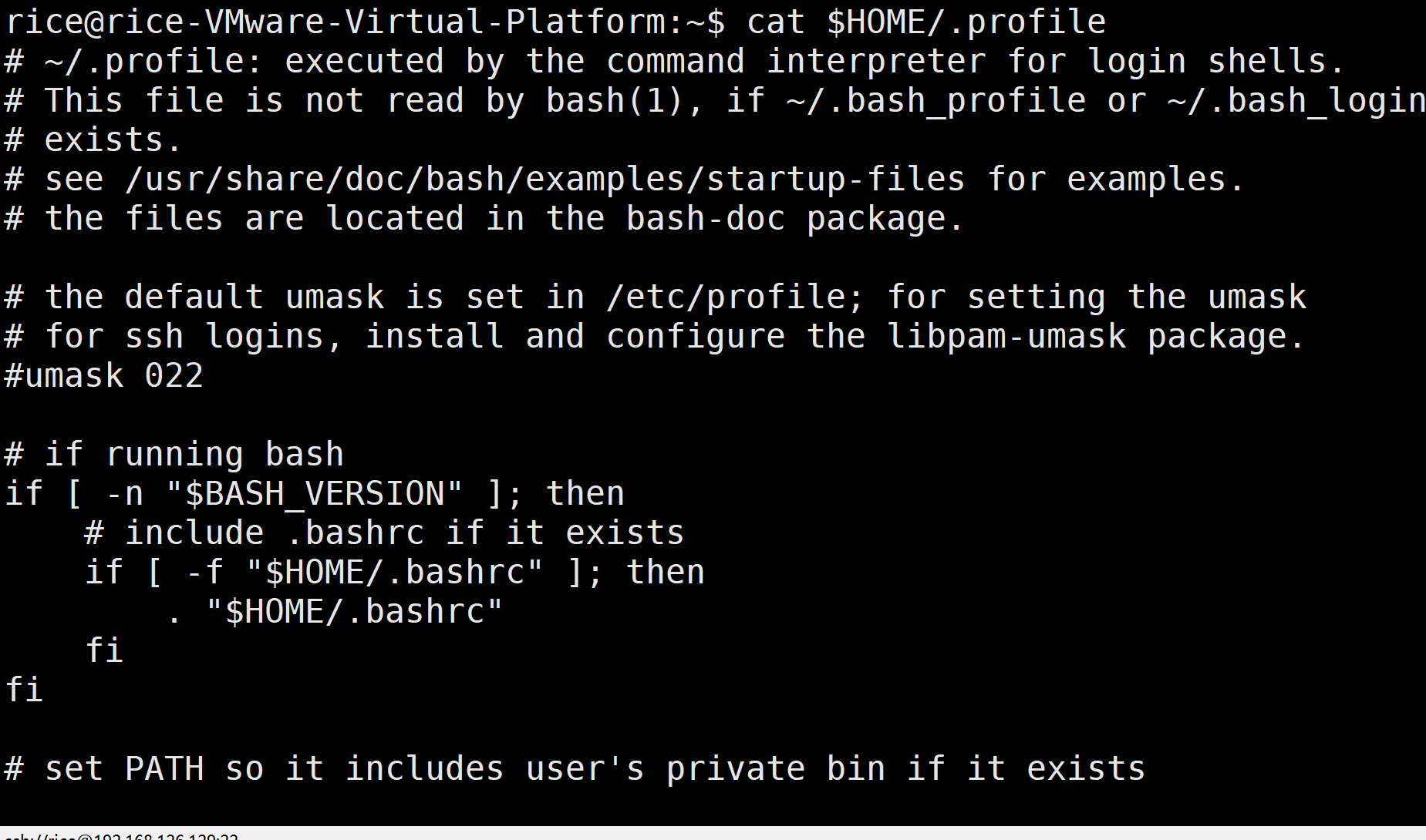 Linux环境变量-CSDN博客