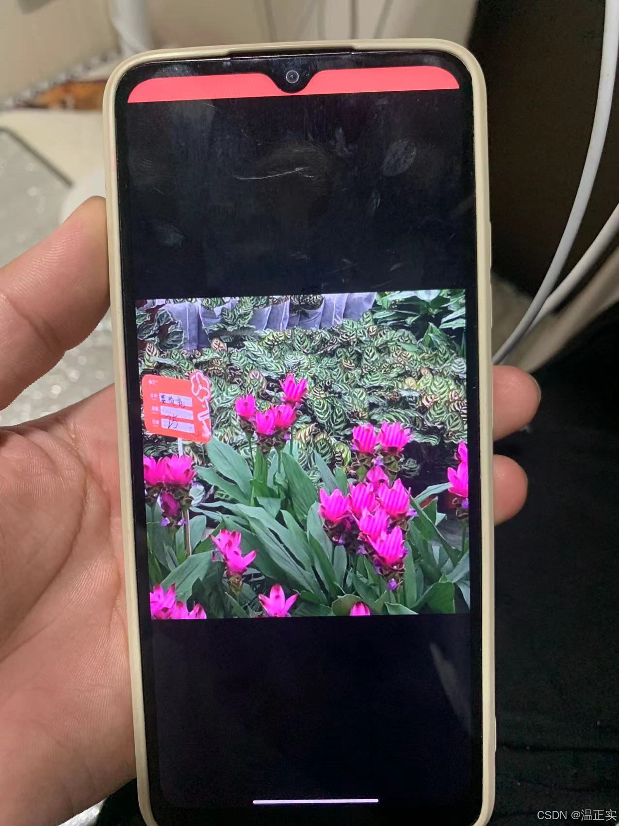 安卓UCrop实现图片裁剪，好用！！完整代码如下_android ucrop-CSDN博客