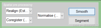 VBM和SBM分析|平滑|统计分析|结果可视化|CAT12工具包_sbmrun-CSDN博客