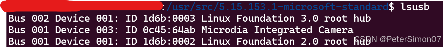 WSL2 使用 USB Camera_wsl 摄像头-CSDN博客