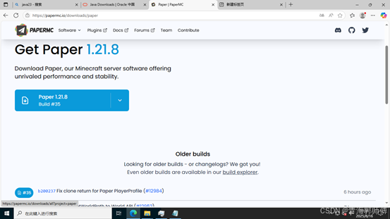 使用雨云服务器WindowsServer2022搭建Minecraft服务器全攻略_如何在win server运行mc-CSDN博客
