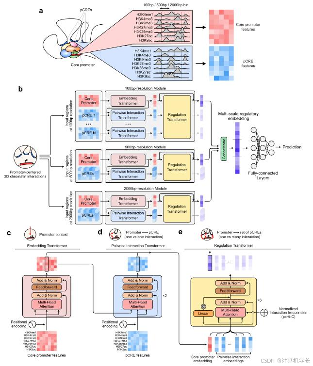 解锁Transformer：从NLP到多模态的智能跃迁密码-CSDN专栏