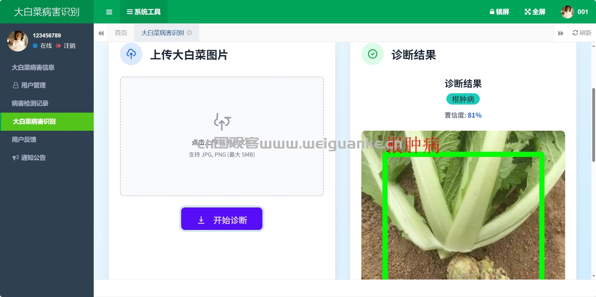 深度学习白菜病害识别系统CNN python-CSDN博客