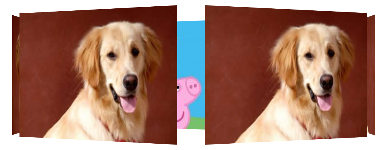 前端学习CSS3 day9_css3 transform 3d-CSDN博客