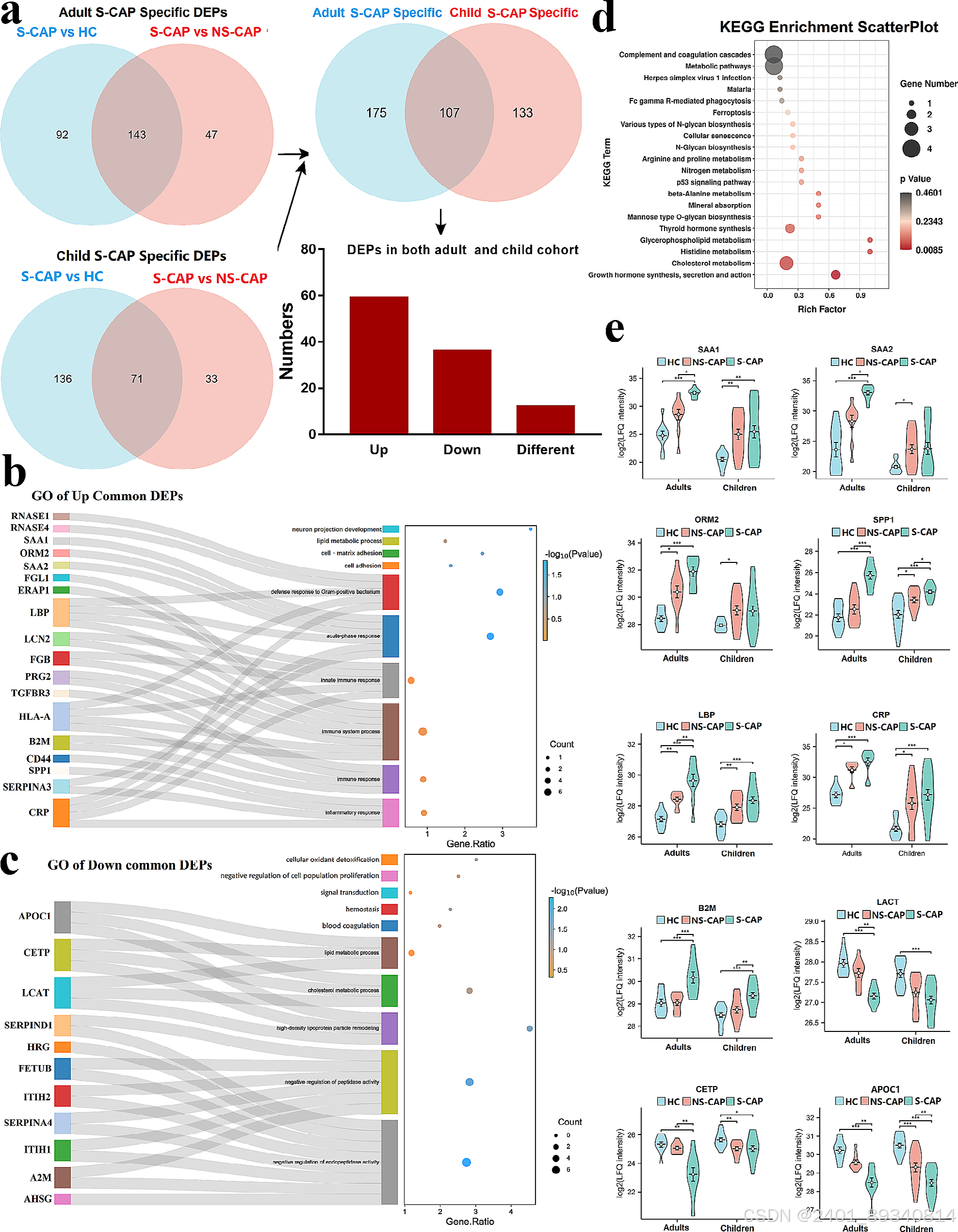 严重社区获得性肺炎（S-CAP）的分子特征和病理机制与生信_多组学手段研究scap的早期诊断与加重机制-CSDN博客