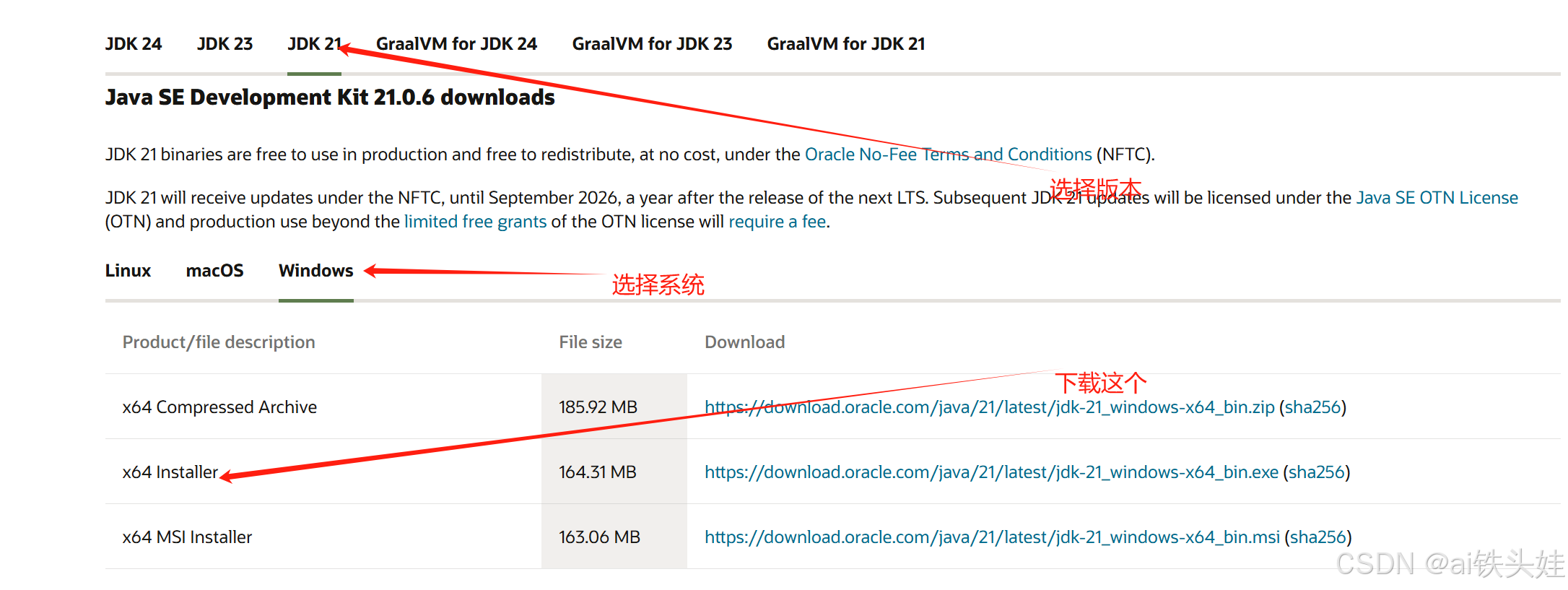 java初学之jdk安装_javajdk-21安装-CSDN博客