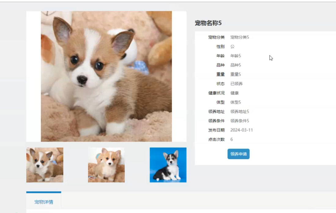 基于数据可视化springbootvue的宠物综合管理系统设计和实现源码论文部署讲解等宠物医院管理系统 可视化数据 Csdn博客