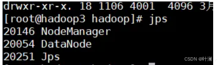 Centos7 hadoop安装超详细 Centos7hadoop配置_centos7安装hadoop-CSDN博客