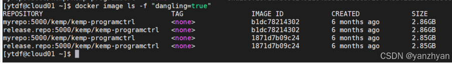 【Docker】docker image（镜像命令）：ls_docker ls-CSDN博客