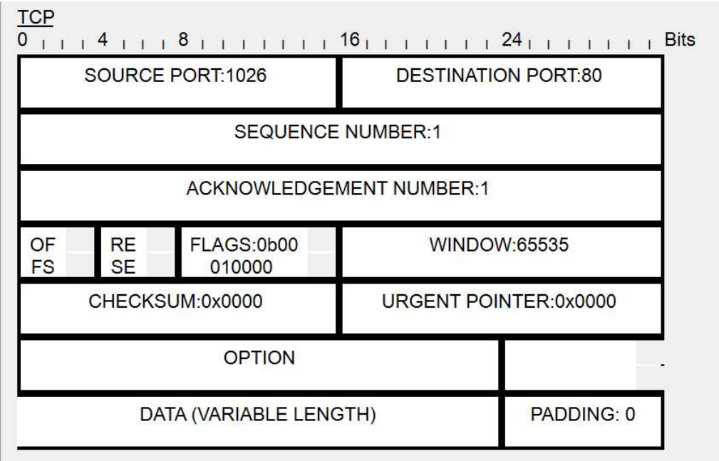 分析报文理解TCP IP协议栈（计算机网络）-CSDN博客
