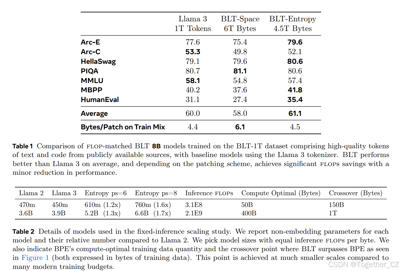 Byte Latent Transformer: Patches Scale BetterThan Tokens——字节潜在Transformer：补丁比令牌更高效_byte latent ...