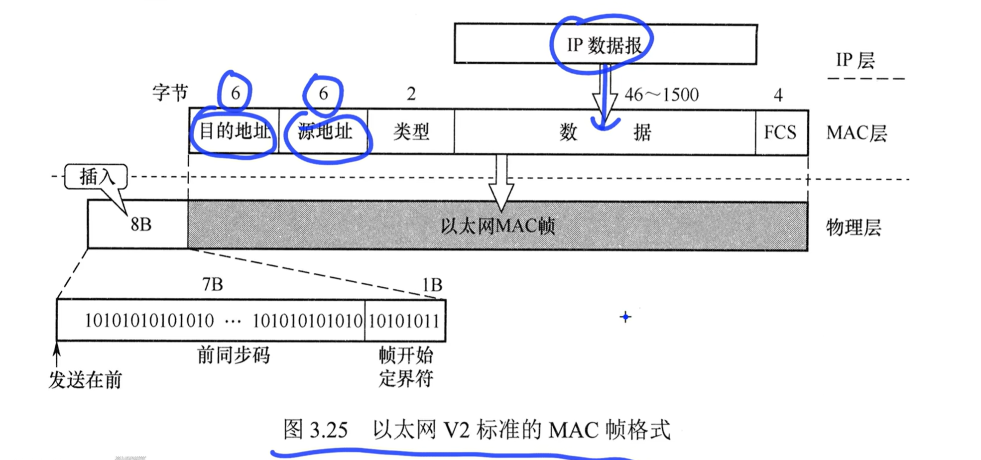 408第三季part2 - 计算机网络 - 局域网-CSDN博客