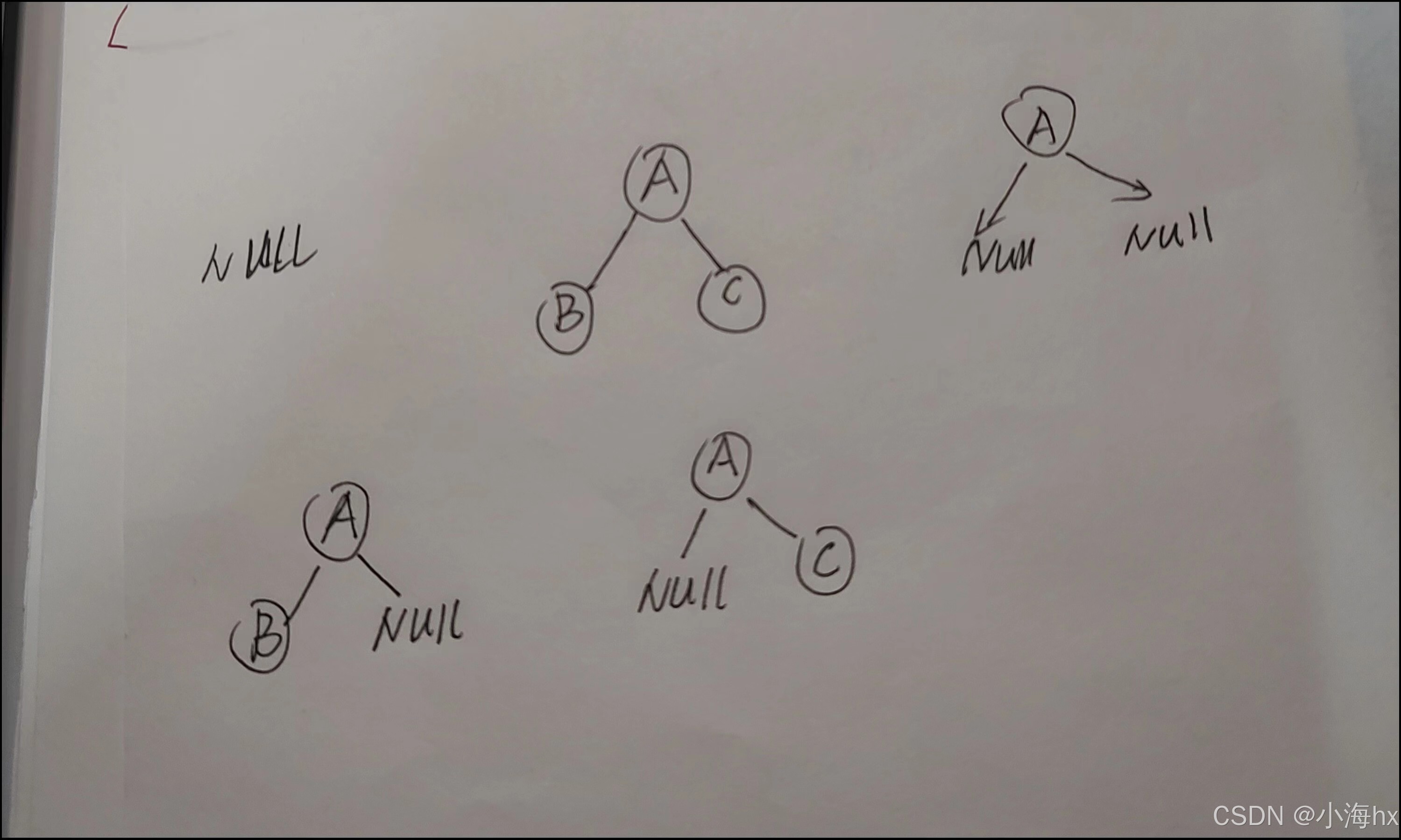 数据结构————树_void create(int u) { cin>>ch; if(ch=='#') return ;-CSDN博客