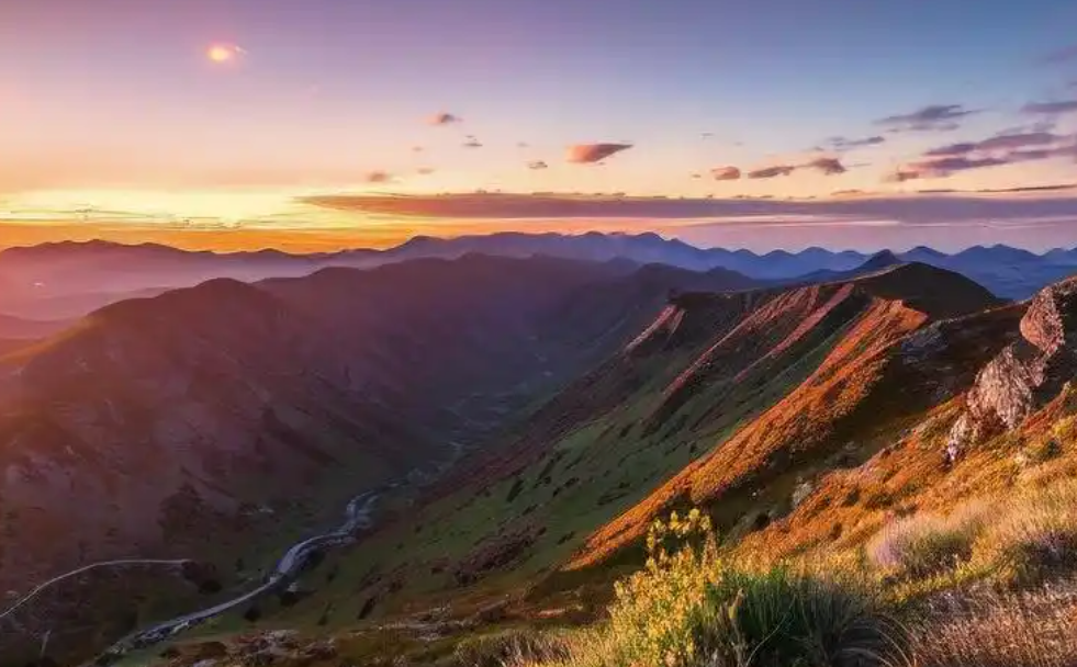 Vue 3 组件开发：搭建基于SpreadJS的表格编辑系统（环境搭建）-CSDN博客