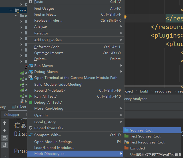 SpringBoot项目Maven构建问题_springboot pom文件指定资源目录-CSDN博客