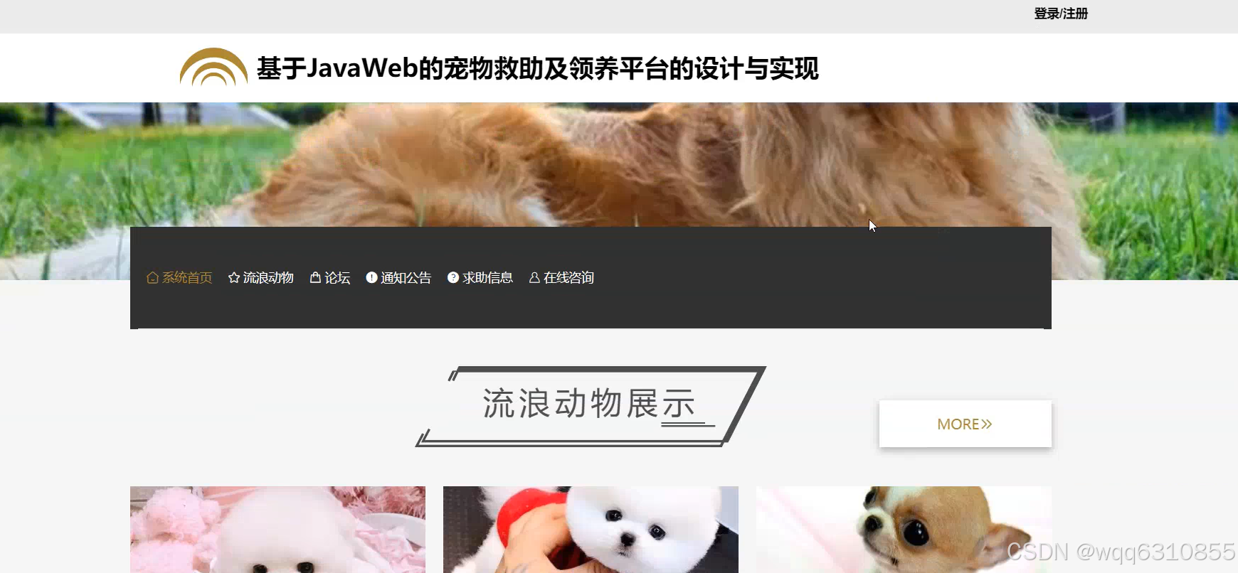 075Java基于SpringBoot的宠物救助及领养平台的设计与实现-java vue.js idea-CSDN博客