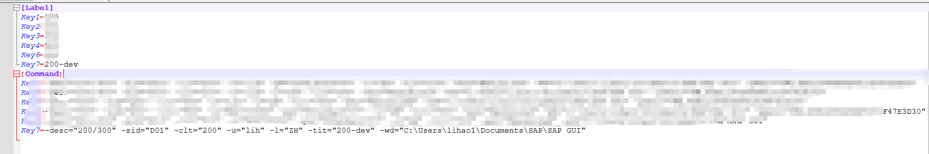 SAP GUI 760及以上版本设置客户端快捷登录-CSDN博客