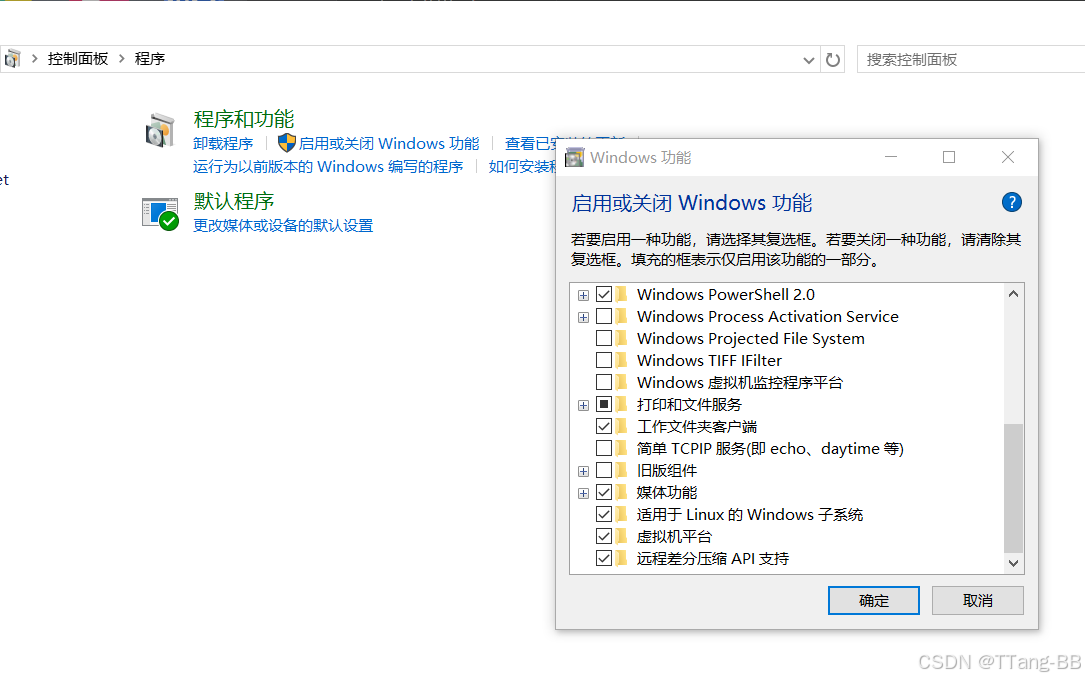 WSL内配置SimNIBS环境-CSDN博客
