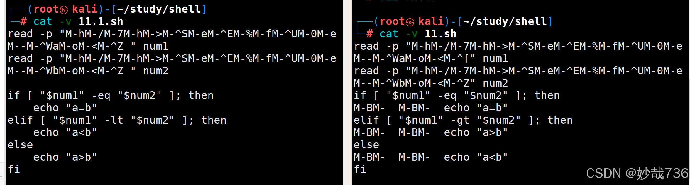 零基础学安全--shell（6）if条件判断与for循环结构-CSDN博客