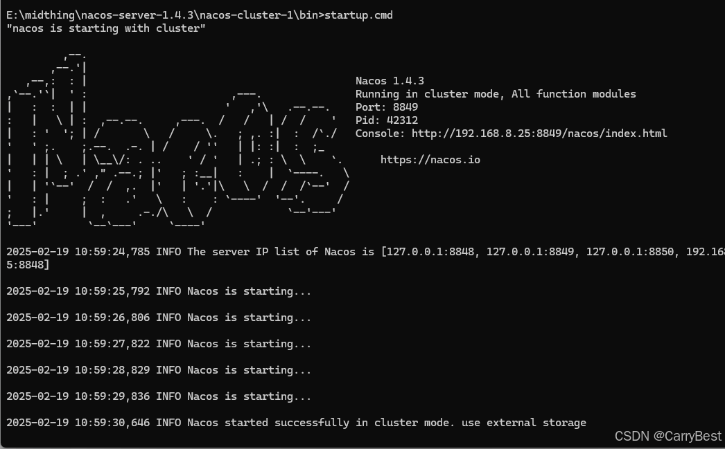 Nacos 高可用集群配置_nacos集群节点元数据配置-CSDN博客