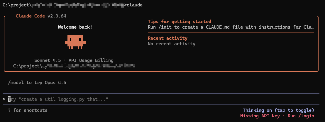 轻松上手：Windows终端玩转ClaudeCode_cmd 中claude-CSDN博客