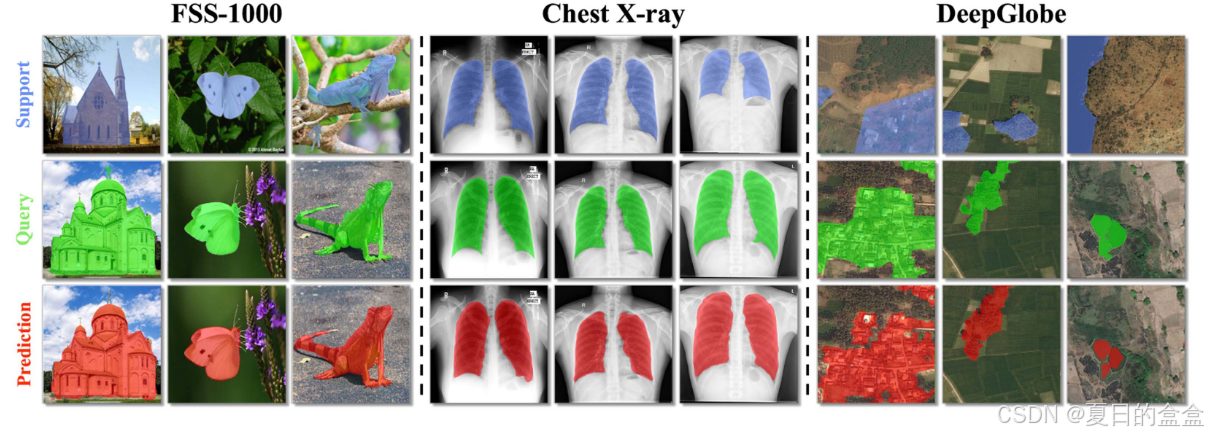 《Prompt-and-Transfer: Dynamic Class-Aware Enhancement for Few-Shot Segmentation》TPAMI2024-CSDN博客