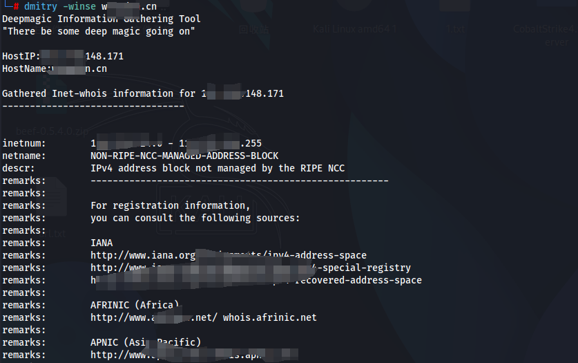 kali Linux使用指南（四）_kali 子域名扫描-CSDN博客
