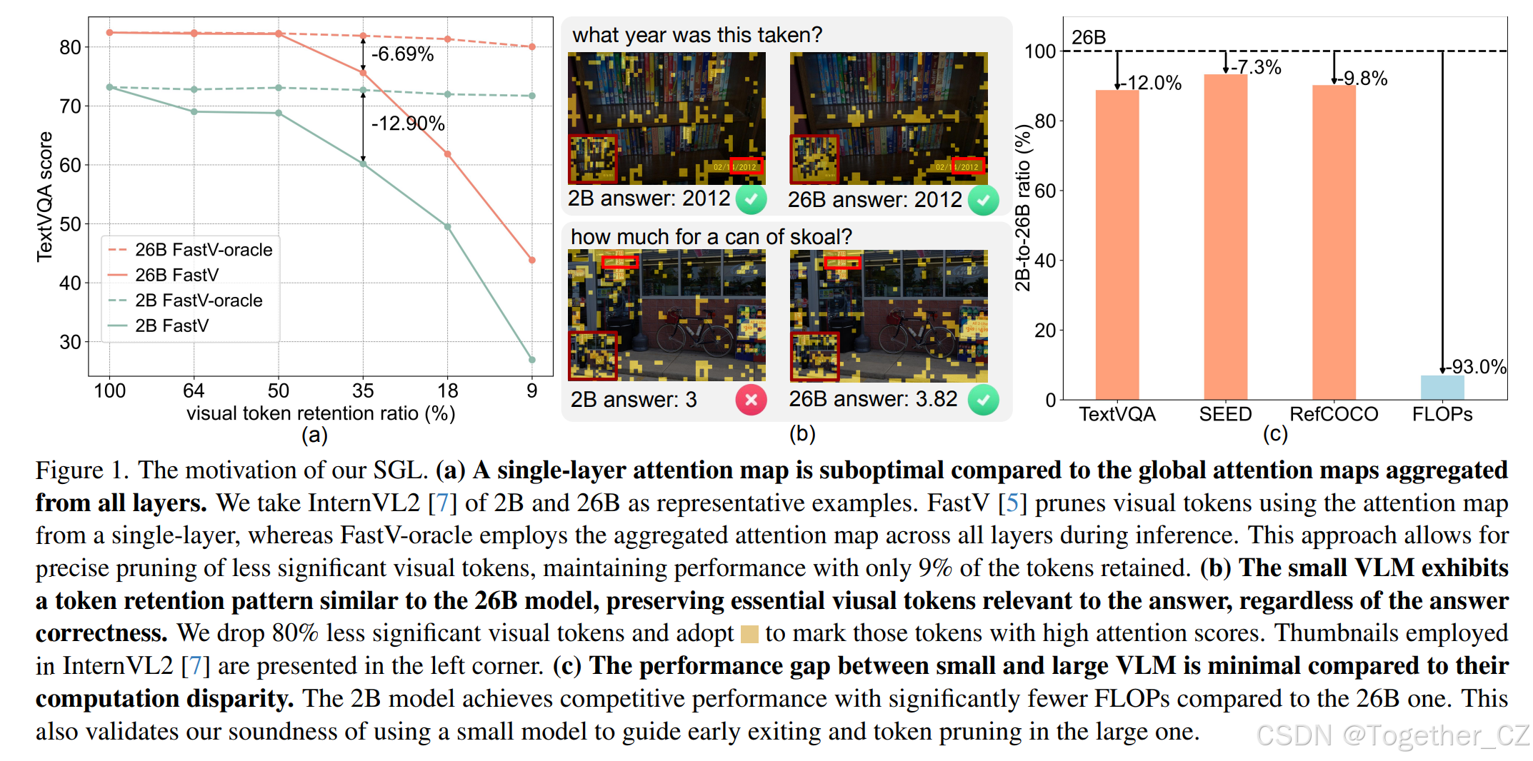 A Stitch in Time Saves Nine: Small VLM is a Precise Guidance for ...