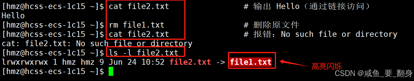 Linux基本命令篇 —— cp命令_linux cp-CSDN博客
