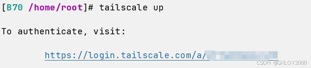 极四增padavan固件升级tailscale的方法_padavan tailscale-CSDN博客