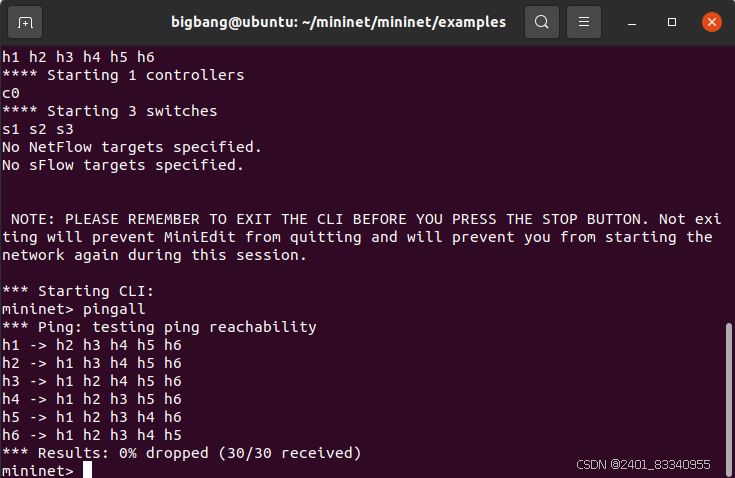 （二）使用mininet+ryu建立简单的网络拓扑_ryu mininet-CSDN博客
