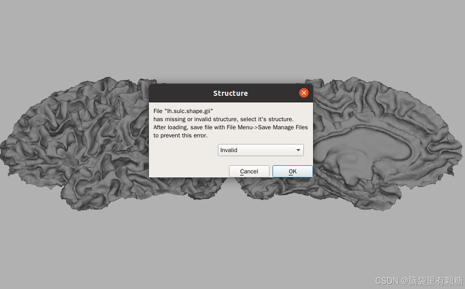 Workbench View 可视化(FreeSurfer2Workbench)问题小结_freesurfer 可视化-CSDN博客